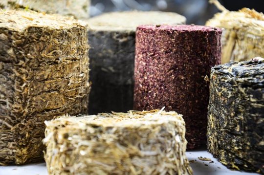 Biomass briquetting for the production of energy sources or feedstocks